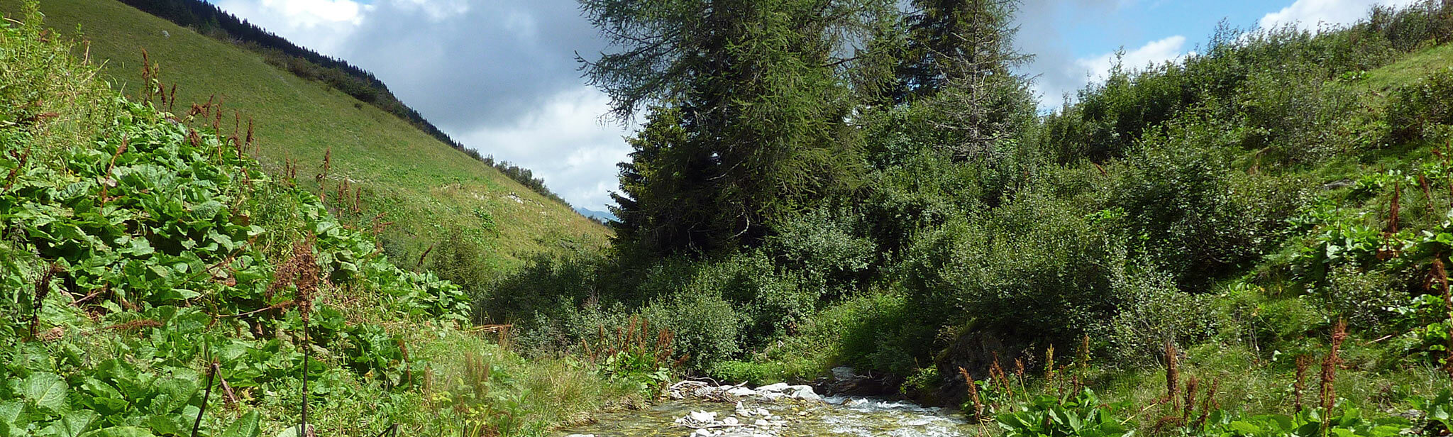 Le Peclet - Développement et réalisation d’une centrale hydroélectrique